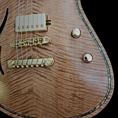 SJ Custom Guitars, Hollowbody,Flame Mango Top, Mahogany Back, | Reverb