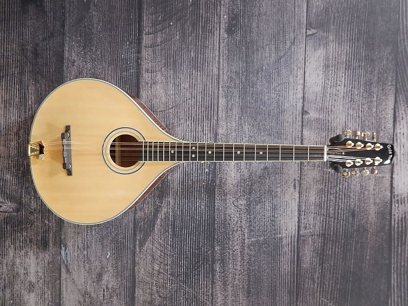 Gold Tone OM-800+ Octave Mandolin w/HSC | Reverb