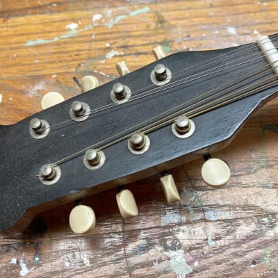 Dayton String Instrument Co. Banjo-Mandolin Banjolin Late | Reverb