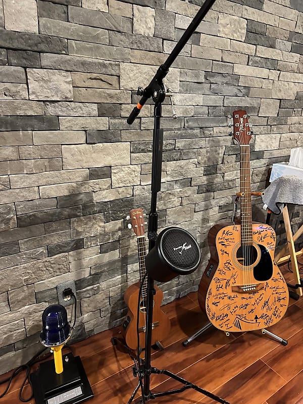 Electro Sound Passive Stage Monitor The Flea 1990's - Black | Reverb