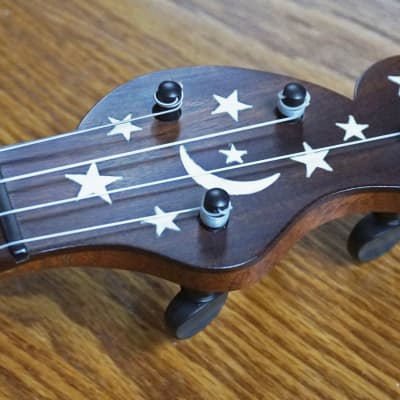 Open Back Banjo, Fretless, Cow Skull Motif | Reverb