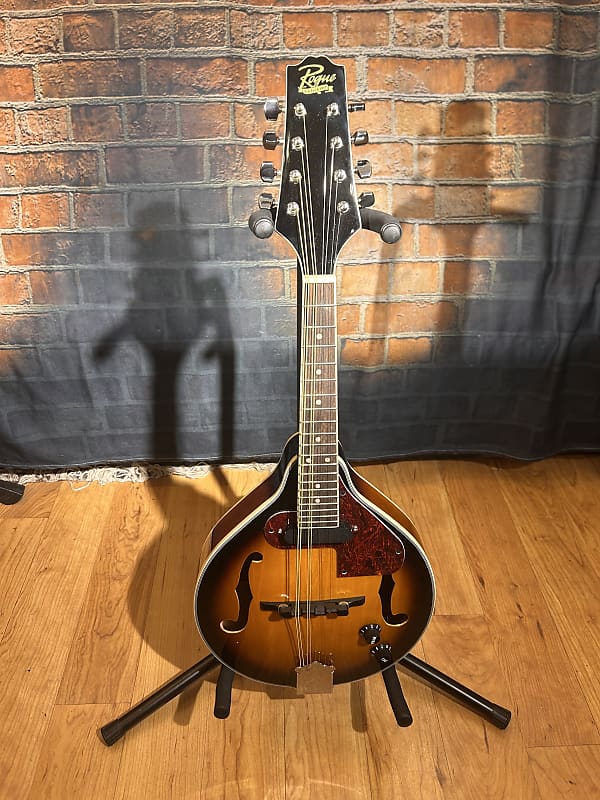 Rogue Electric Mandolin | Reverb