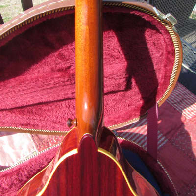 Beard Instruments Celtic mandolin #28 2010-2020 - Gloss | Reverb