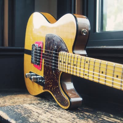 Prinz of Tone! Hohner The Prinz Mad Cat Prince | Reverb Australia