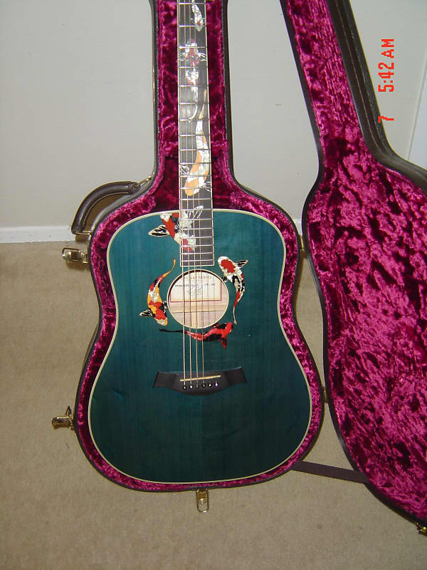 Taylor Living Jewels 2000 Custom | Reverb