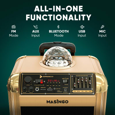 MASINGO Karaoke Machine for Adults & Kids with 2 UHF Wireless | Reverb