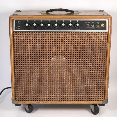 Mitchell Combo Pro 100 Tube Amplifier w/ Pedals | Reverb