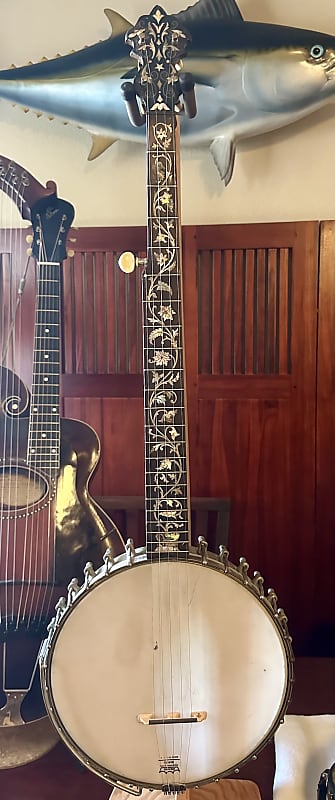 SS Stewart Special thoroughbred, tree of life, openback Circa | Reverb