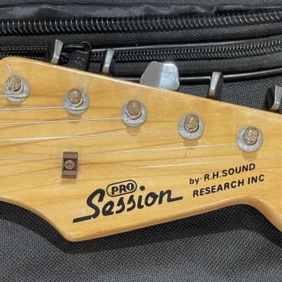 Pro Session Stratocaster Copy | Reverb