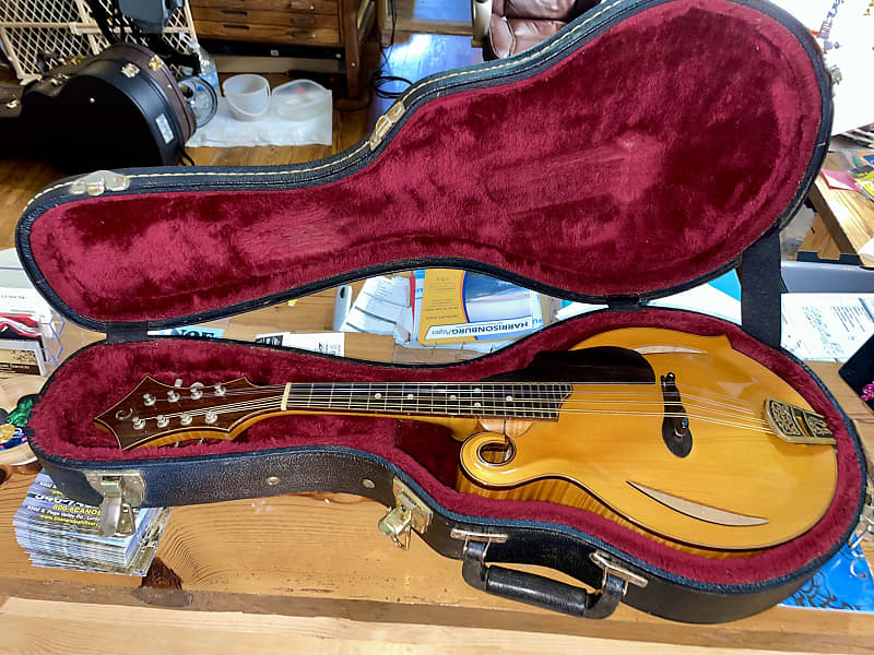 Cohen C# Style Spruce 2002 - Gloss | Reverb