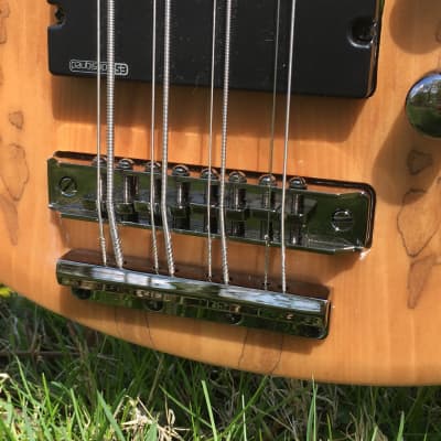ESP LTD 8 String Electric Bass 2022 - Spalted Maple | Reverb