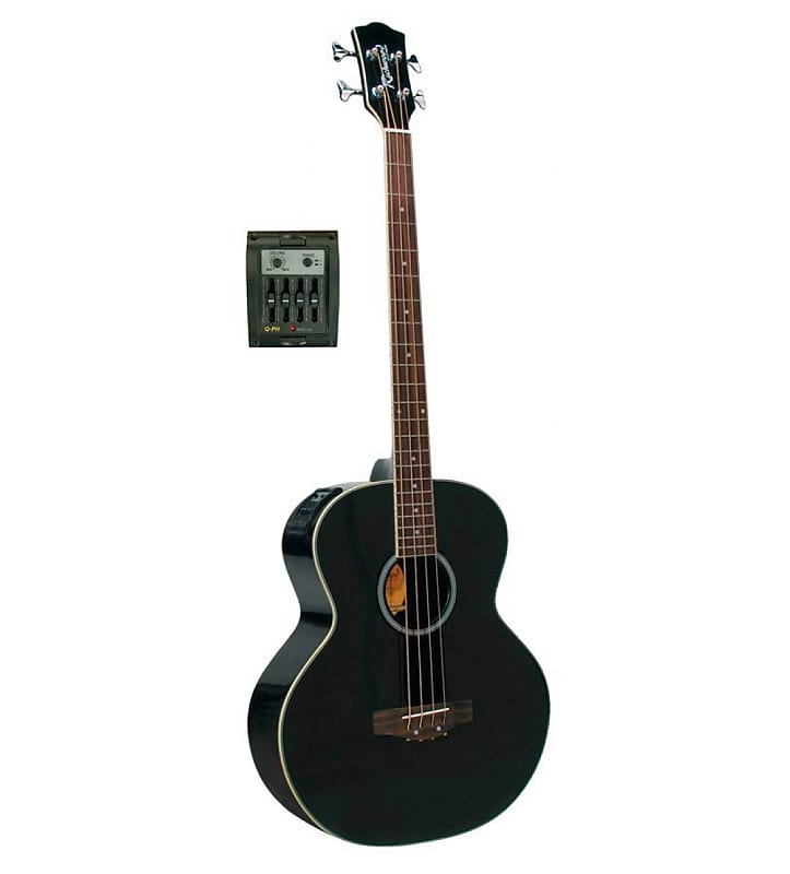 Basso acustico elettrificato | Reverb