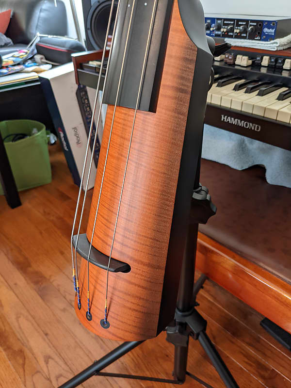 NS Designs NXTa Electric upright Bass NXT a - Flamed | Reverb