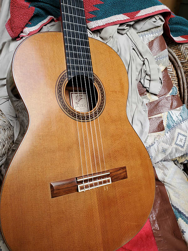 David Daily Concert 1990s | Reverb