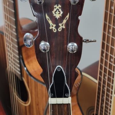 Kay 5-String "Eagle Back" Banjo | Reverb