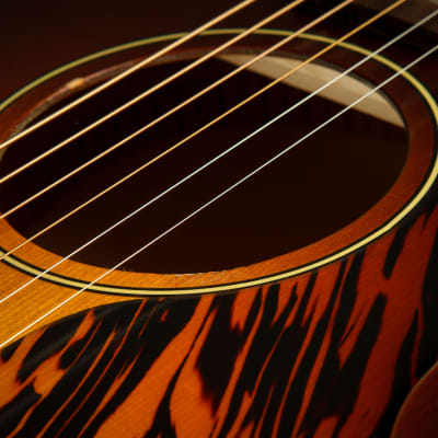 Iris AB Distressed Sunburst | Reverb