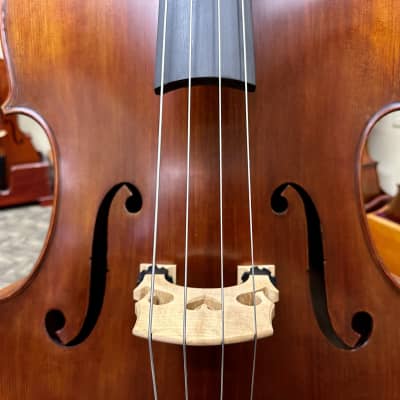 Andreas Eastman 5/8 'Hybrid' Upright Bass w/ Violin Corners | Reverb
