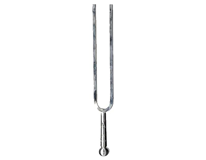 Wittner Clarissima A440 Tuning Fork | Large | Reverb