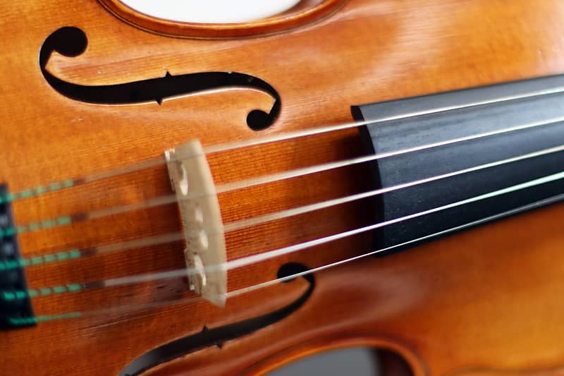 Plum Grove Music 5-String Violin | Reverb