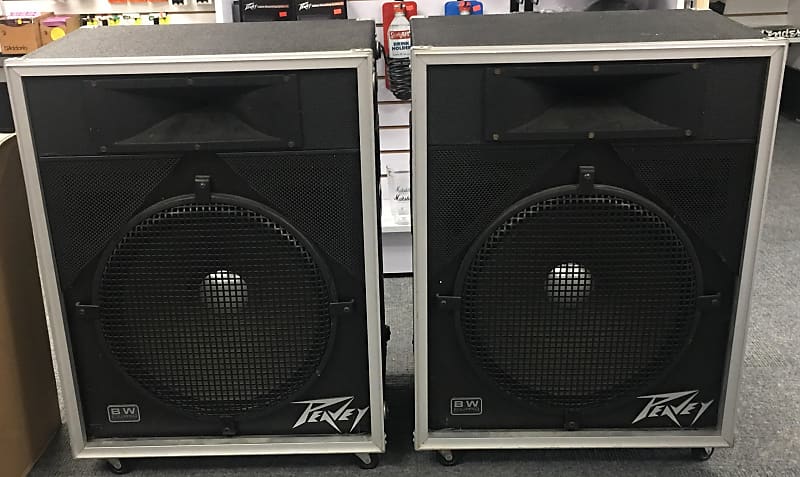 Peavey 118 International 2 Way PA Speaker Pair - USED | Reverb