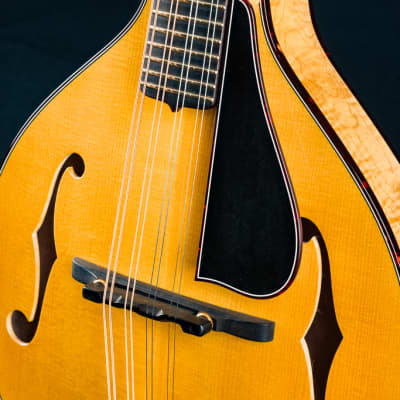 Pava A5 Pro Honey Amber Adirondack Spruce and Quilted Maple | Reverb