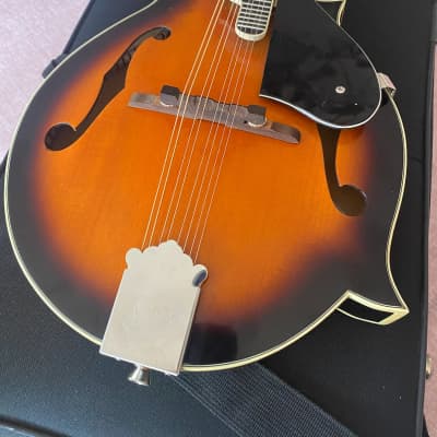 Johnson MF-100 Mandolin with case | Reverb