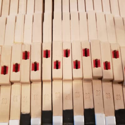 88 Mint unused Fender Rhodes keys for the 88 or 73 key | Reverb