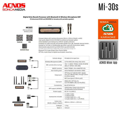 ACNOS Mi-30s Compact Portable Karaoke Mixer + 2 UHF Wireless | Reverb
