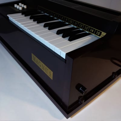 Magnus Model 300 Chord Organ 60's | Reverb