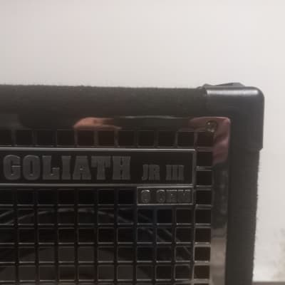SWR GOLIATH III junior 2x10 bass cabinet | Reverb