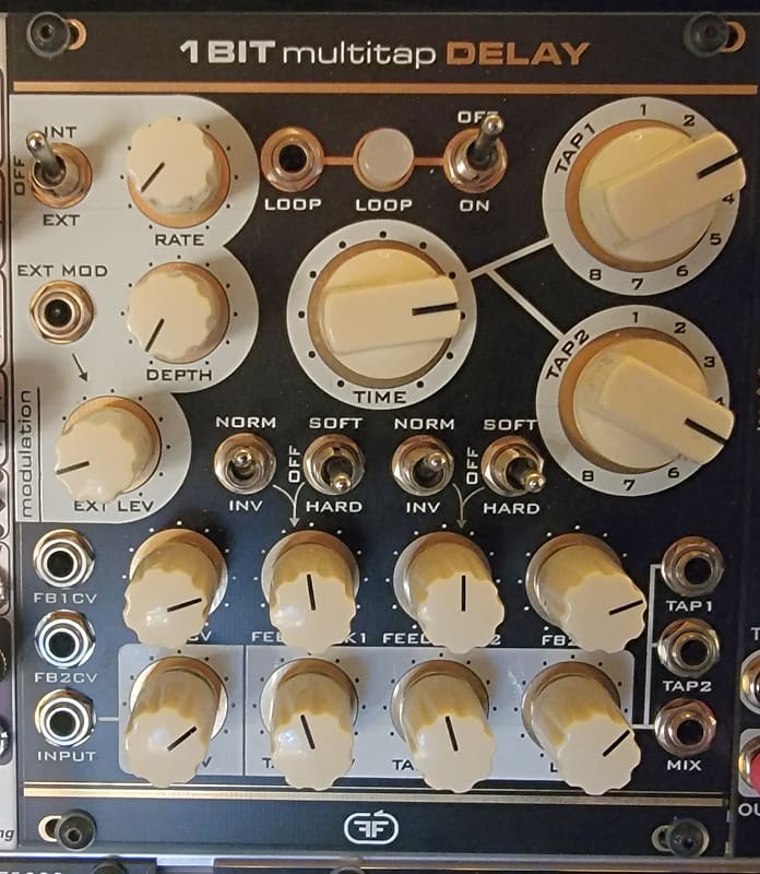 Feedback Modules 1 BIT multitap DELAY | Reverb