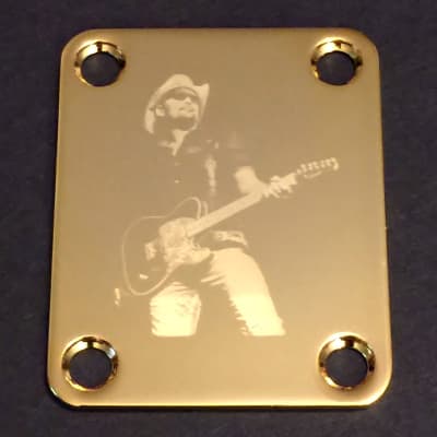 GUITAR NECK PLATE Custom Engraved Etched - Fits Fender - BRAD | Reverb