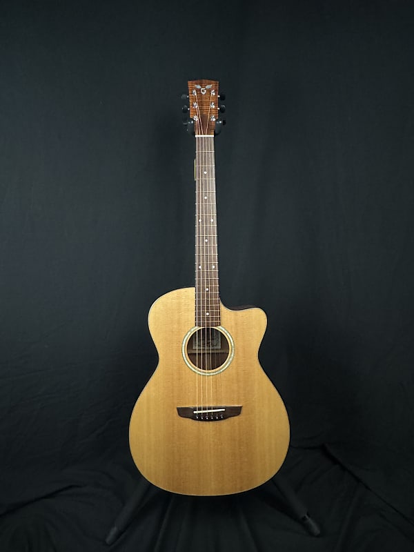 James Goodall guitar Grand concert AKGCC6709 - Gloss | Reverb