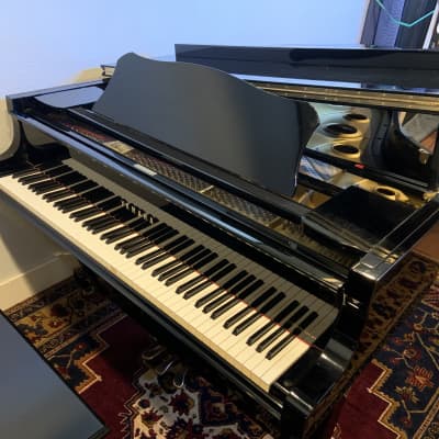 Yamaha C3 Conservatory Grand | Reverb
