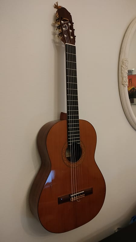 Raimundo 130/Chorus | Reverb