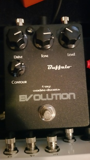 Buffalo FX Evolution w/Box | Reverb