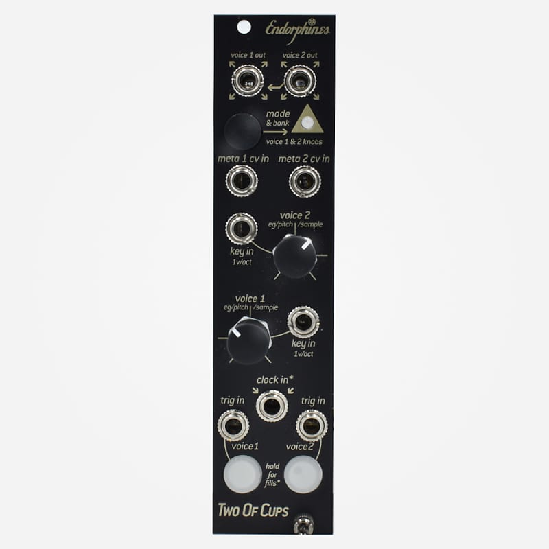 Endorphin.es TWO OF CUPS (Black) Eurorack Sampler Module | Reverb