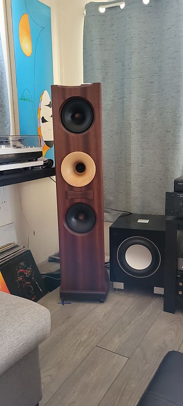 DC10 Audio Instrument 8PS 2011 - Solid maple and African | Reverb