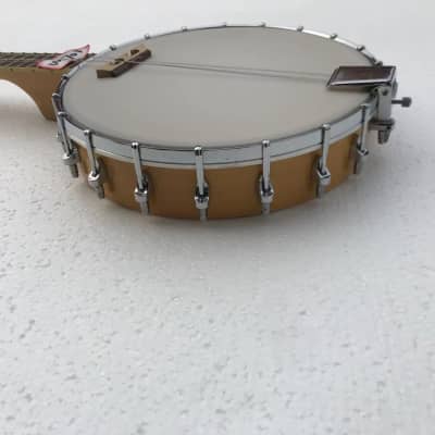 Custom 5 String Banjo, Maple Neck and Rosewood | Reverb Deutschland