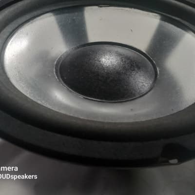 INFINITY 10" REPLACEMENT WOOFERV SPEAKER CLEAR POLY | Reverb