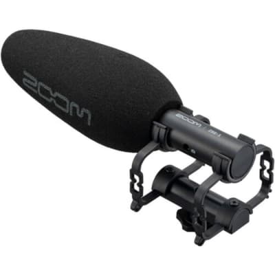 Zoom SG-1 Stereo Camera Mount Shotgun Microphone | Reverb