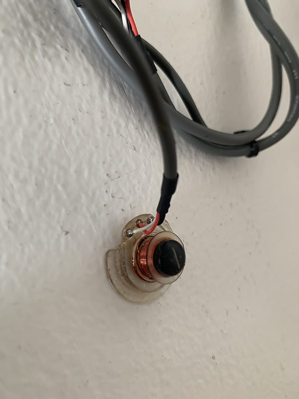 Taylor Dynamic body sensor + cables for Expression System | Reverb