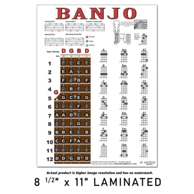 Laminated 8.5x11 5 String Banjo Fretboard Notes Rolls Chord | Reverb