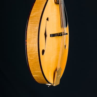 Pava A5 Pro Honey Amber Adirondack Spruce and Quilted Maple | Reverb