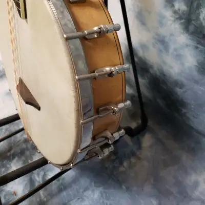 Vintage 1920's Wurlitzer Banjolin New Strings Pro Setup Banjo | Reverb