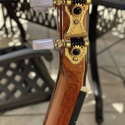 2015 Pavan TP-30-64-L Left-Handed Classical Guitar | Reverb