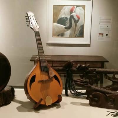 Wilkie 10-String Mandolin | Reverb