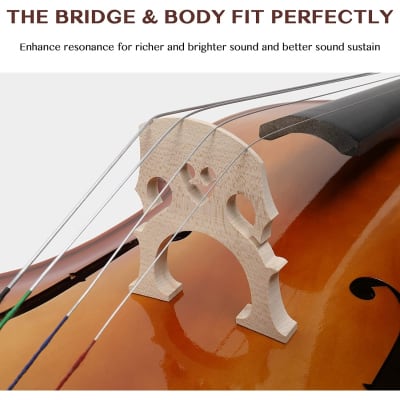 Glarry GC101 4/4 Full-Size Acoustic Cello - Retrovert | Reverb