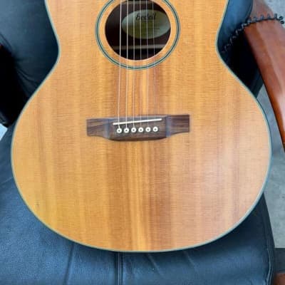 TOM BEDELL TB-18-G, ALL SOLID WOOD ACOUSTIC GUITAR, GIG BAG | Reverb