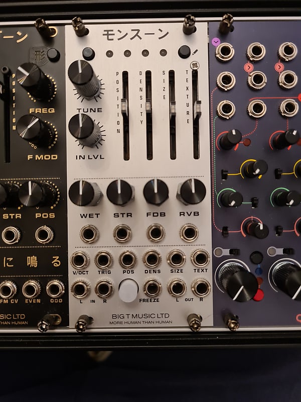 Big T Monsoon (Mutable Instruments Clouds) - Silver | Reverb